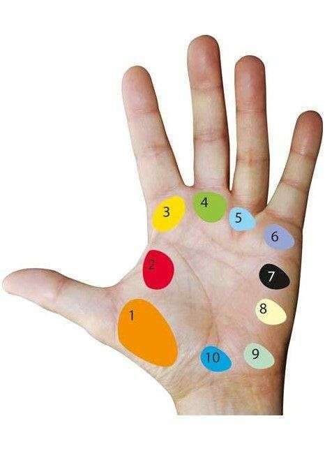 Livet i din hånd | Primstaven nettbokhandel